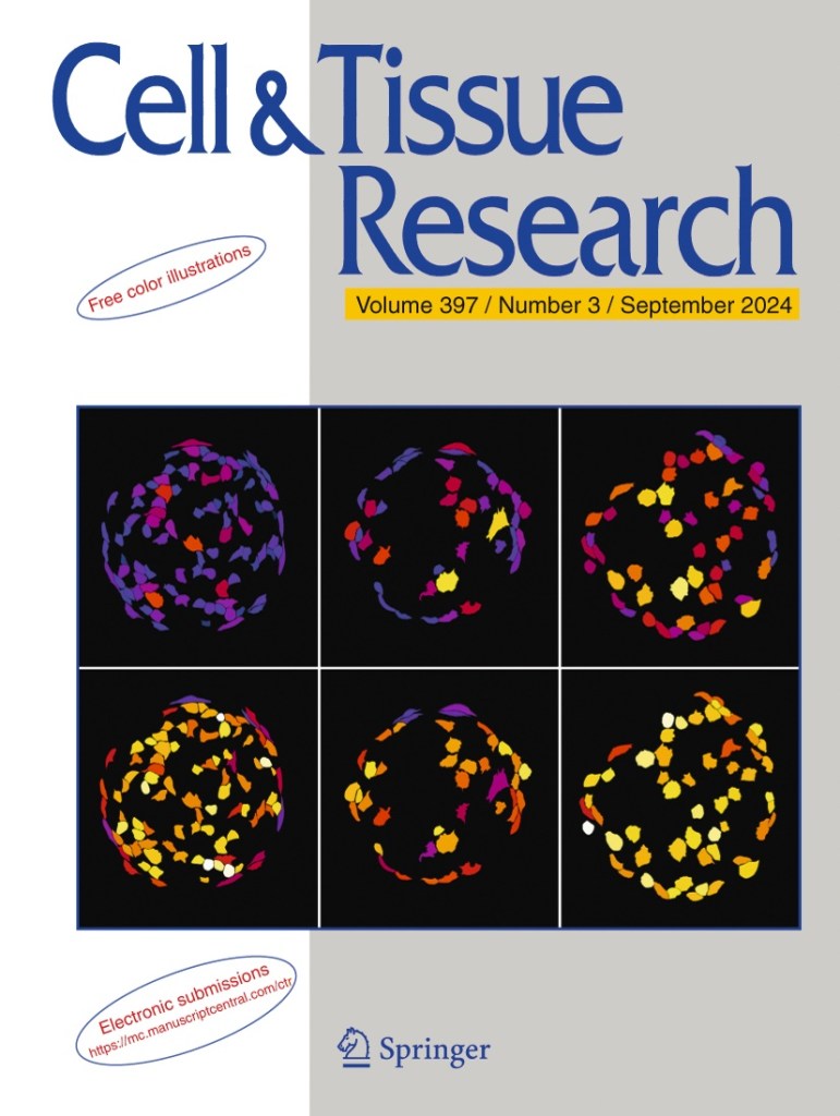 Publications – Cell mechanics group, Biomechanics lab